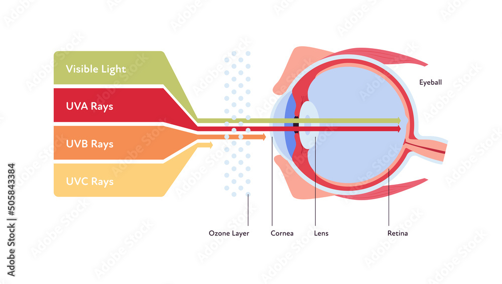 Uv rays and visible light healthcare infographic. Vector flat ...