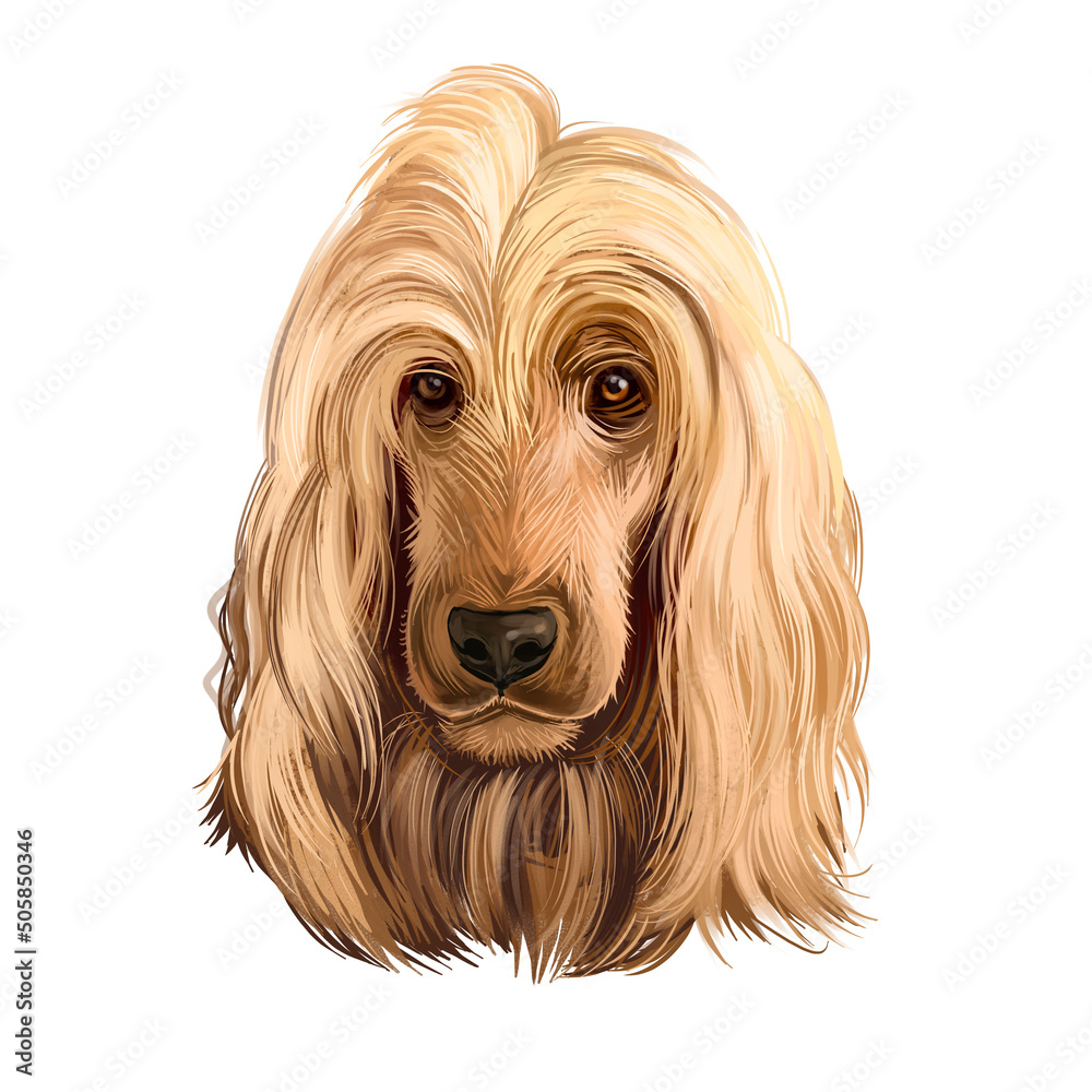 English Cocker Spaniel, Cocker, Cocker Spanie dog digital art ...