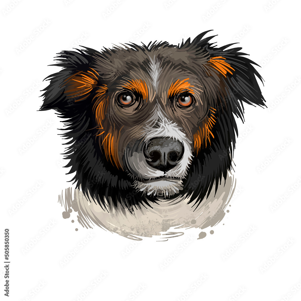 English Shepherd, Farm Collie dog digital art illustration isolated on ...