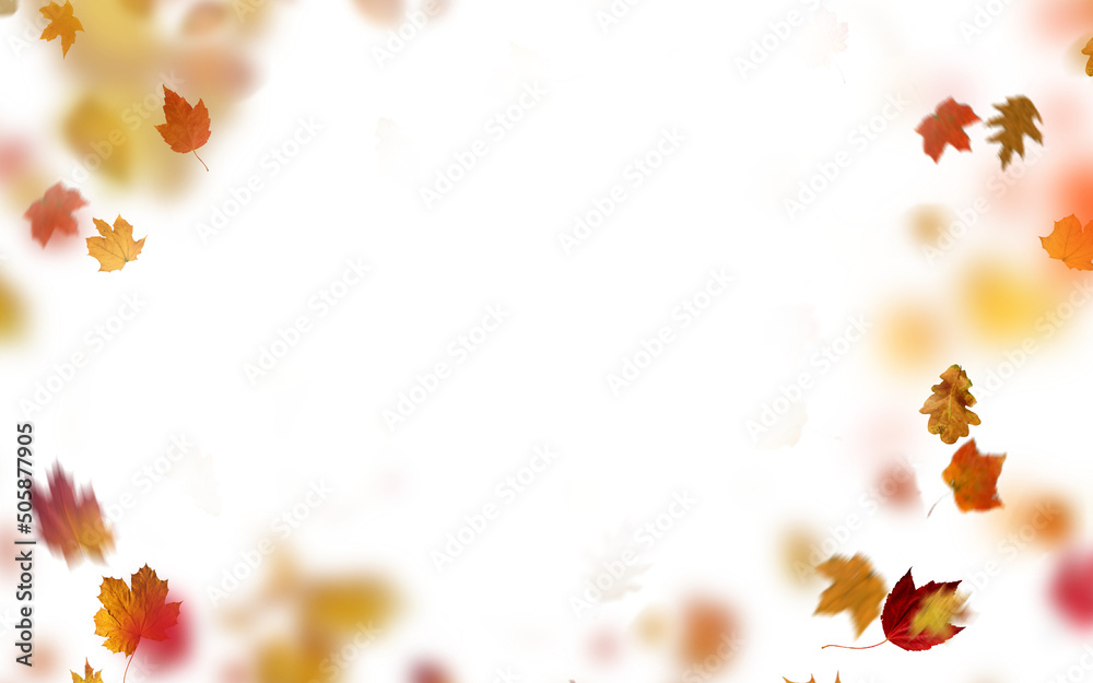 Autumn Set Photo Overlays Falling Leaves, fog, rain, sun, light ...