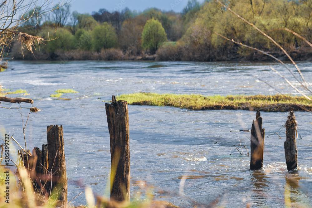 Swift river flow with rapids, and snags sticking out of the water in ...