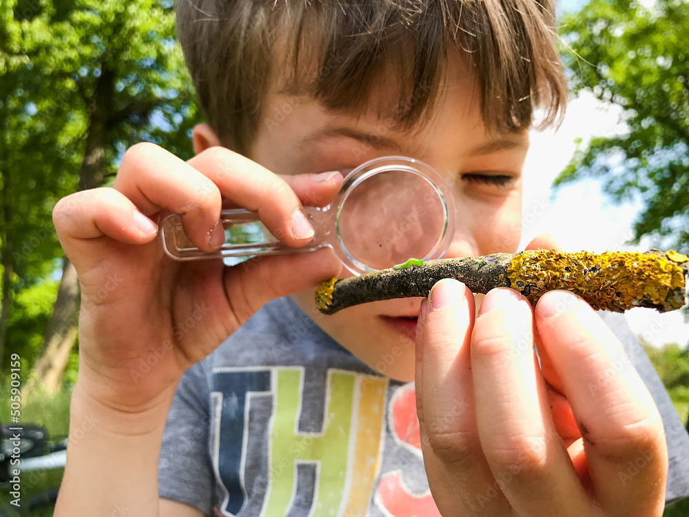 Boy with magnifying glass looking at a small green bug outdoors in a ... Boy with magnifying glass looking at a small green bug outdoors in a ...