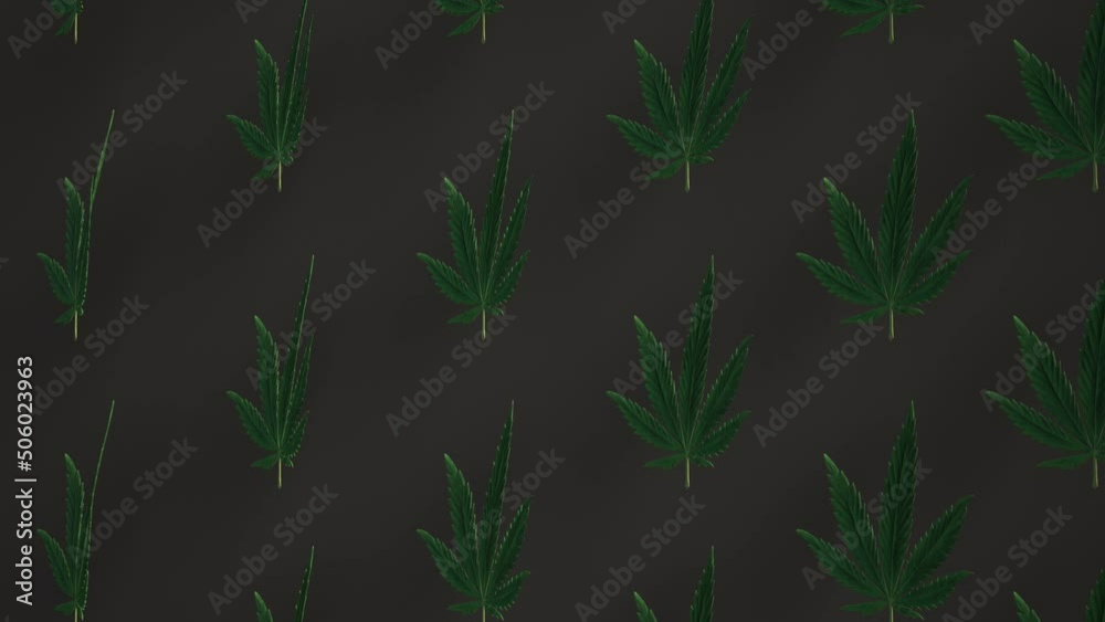 Lovely green Cannabis leaves Loop background leaf Realistic 3D Luma ...