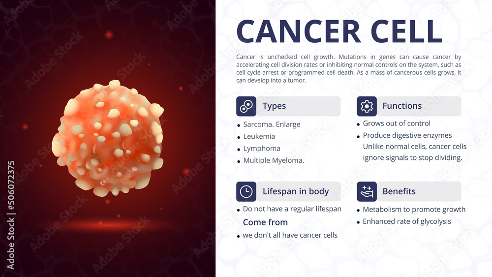 Structure, Function and Types of Cancer Cell Vector Image Design Stock ...