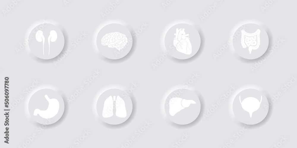 Neomorphism organ icon set. Neumorphism human organs. Medicine concept ...