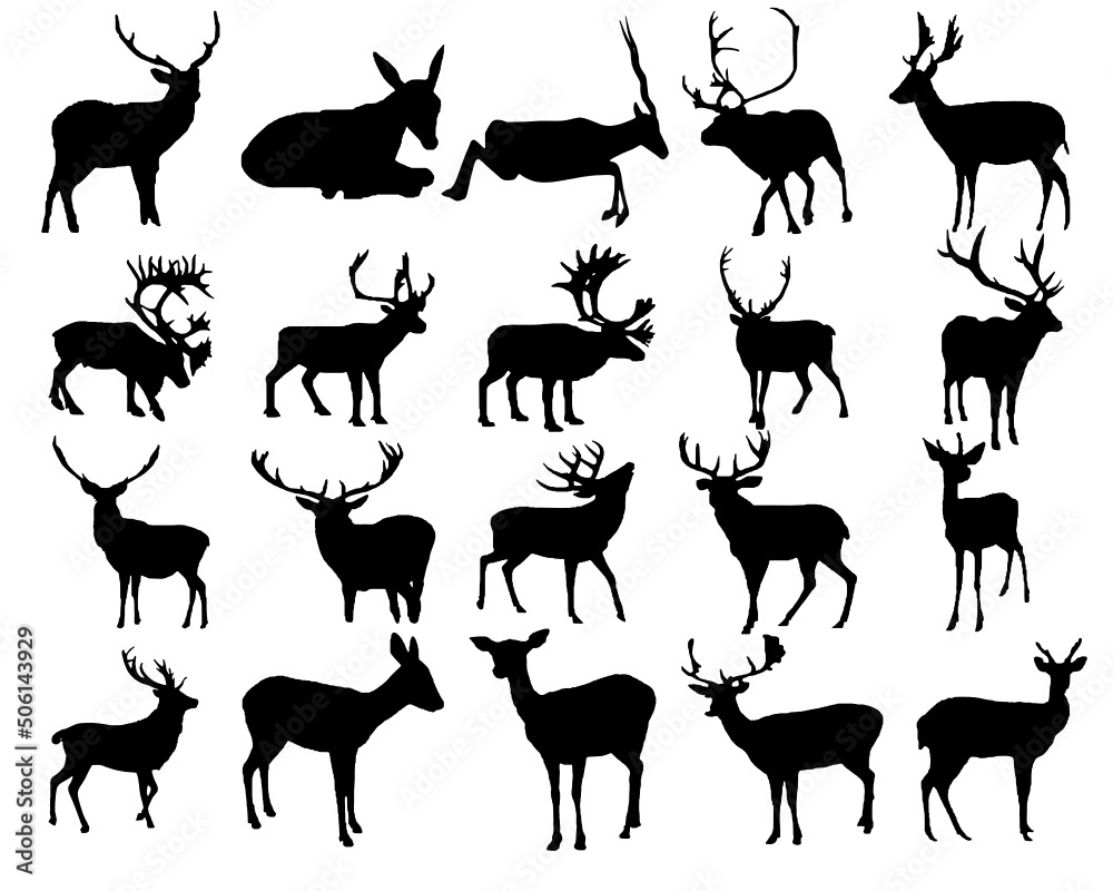 set of deer silhouettes, Animal - Lesson Of The Kaibab Deer Graph ... set of deer silhouettes, Animal - Lesson Of The Kaibab Deer Graph ...