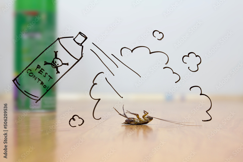 Dead cockroach on floor , drawing of pest control concept, pest control ...