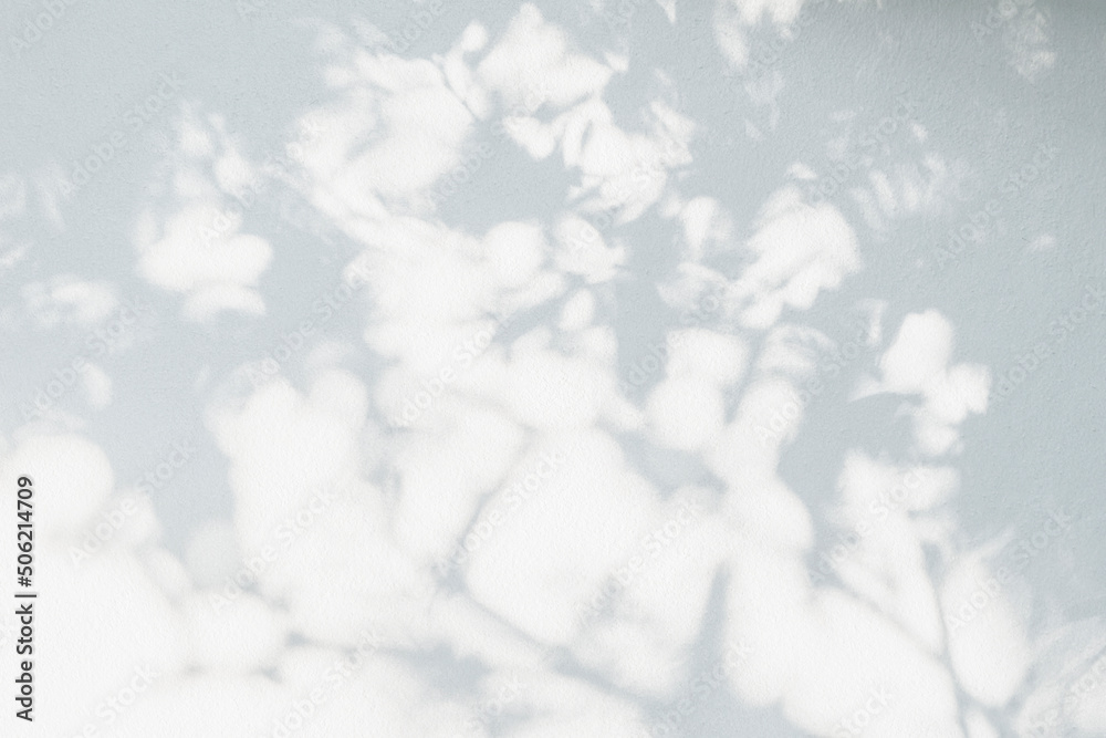 Tree shadow and leaf branch background. Nature leaves tropical jungle ...