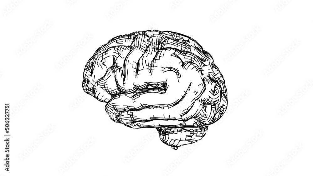 Sketch style Human brain black on white background Looped Animation ...