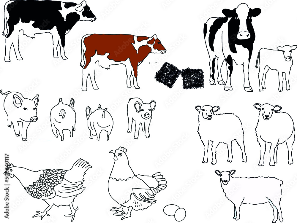 Illustrator drawing of Farm Animals. Cows, pigs, hen and sheep Stock ...