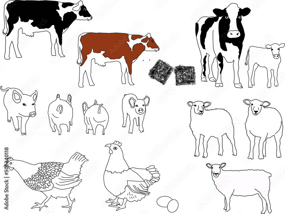 Illustrator drawing of Farm Animals. Cows, pigs, hen and sheep Stock ...