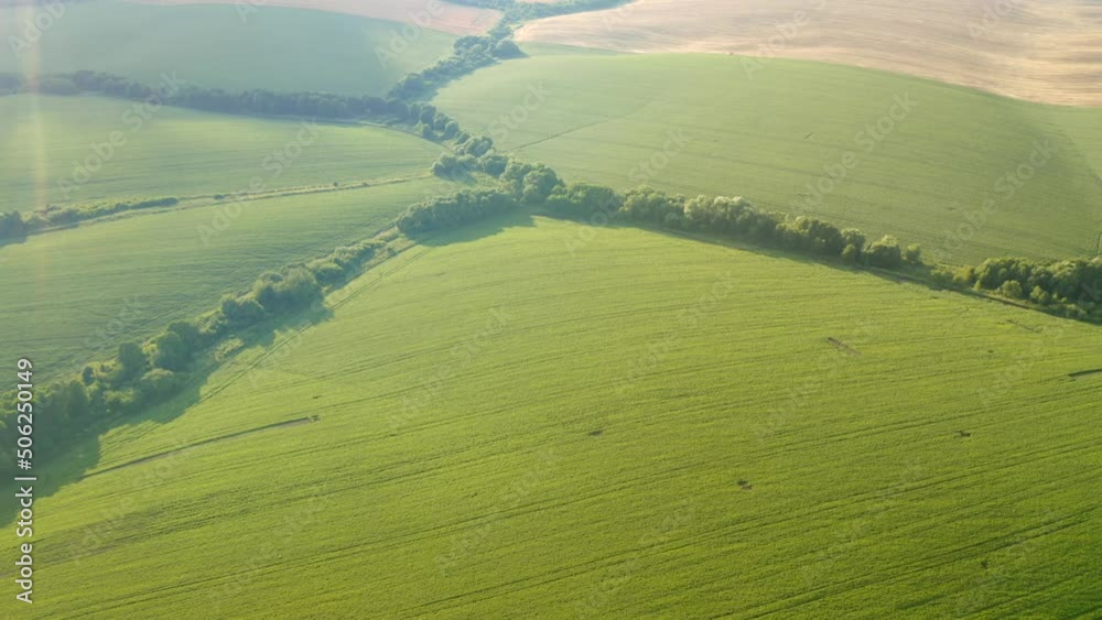 Breathtaking view of a green undulating field. Filmed in UHD 4k video ...