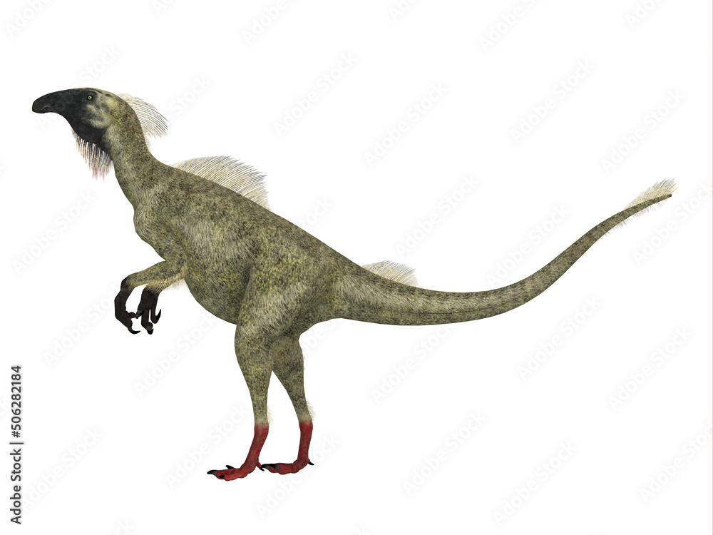 Beipiaosaurus Cretaceous Dinosaur - Beipiaosaurus was a feathered ...