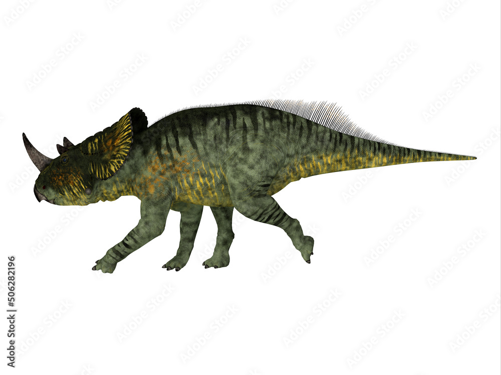 Brachyceratops Cretaceous Dinosaur - Brachyceratops was a Ceratopsian ...