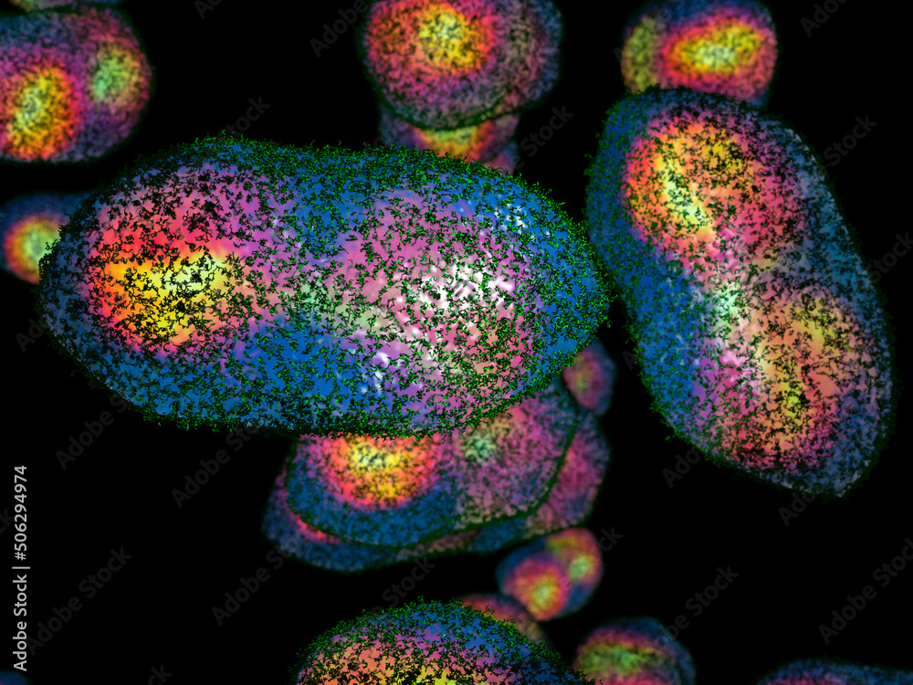 Smallpox virus under the microscope. There are many types of smallpox ...