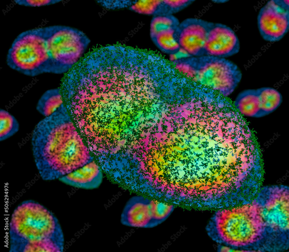 Smallpox virus under the microscope. There are many types of smallpox ...