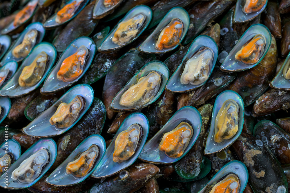 Asian green mussel (Perna viridis) in Thailand street market. Stock ...