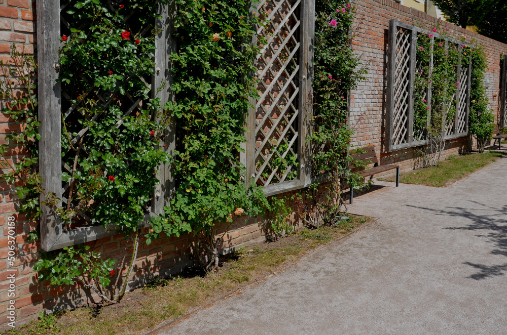 retaining walls and terraces with trellises and roses. Rectangular ...