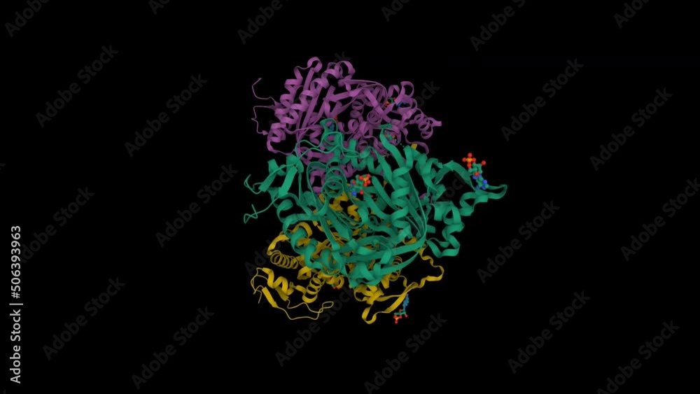 Structure of human soluble adenylyl cyclase with adenosine-cyclic ...
