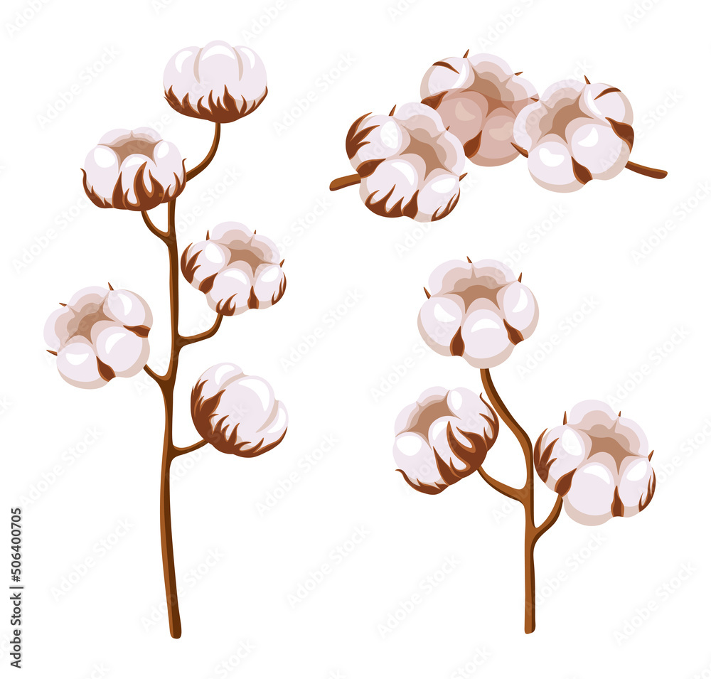 Set of fresh white cotton in cartoon style. Vector illustration of ...