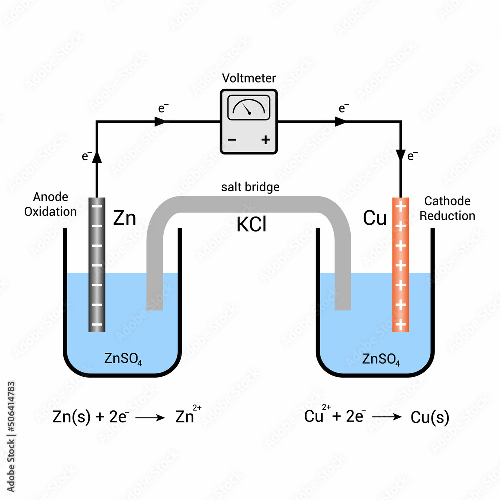 Galvanic Cell Labeled