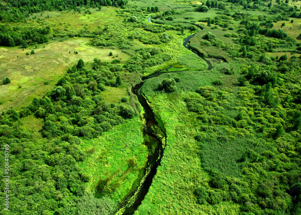 River in the wild. Aerial view of small river in green field and forest ...