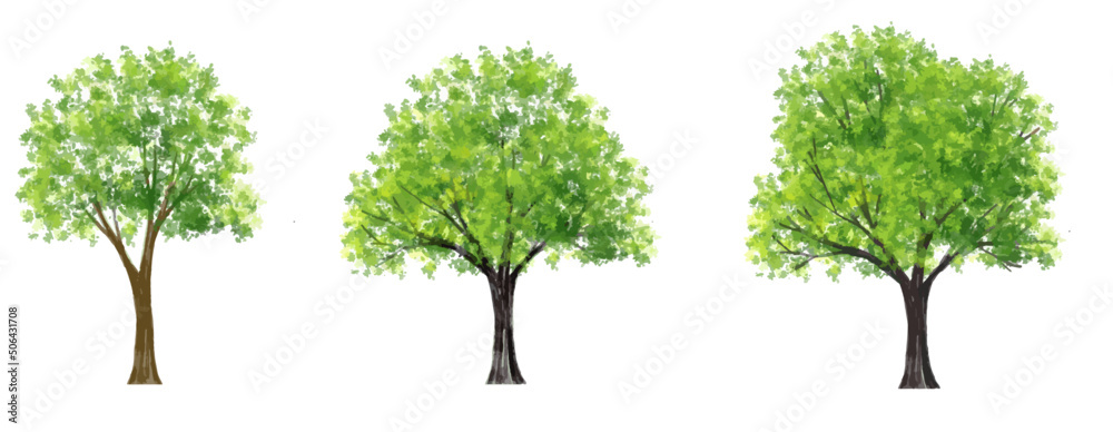 Vector set of tropical green tree side view isolated on white ...