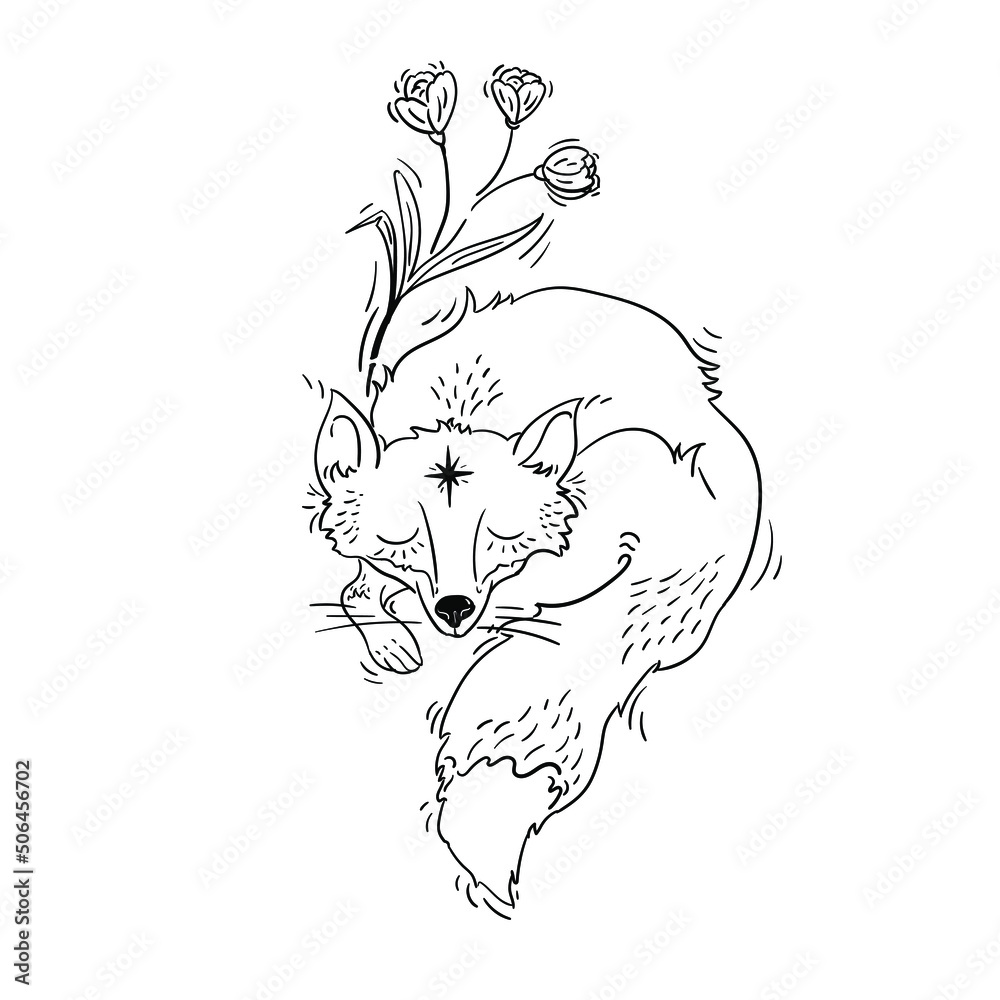 Beautiful fox illustration. Black and white vector sketch of fox with ...