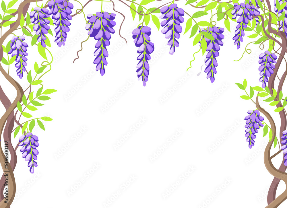 Wormwood tree. Blooming wisteria branches and bunches of flowers ...