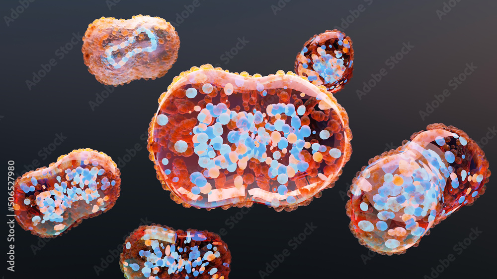 Monkeypox infection pandemic. monkeypox cell, symptoms or precautions ...