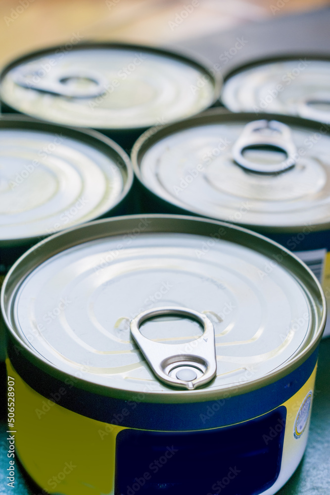 Set of various canned foods cans, non-perishable, long shelf life food ...