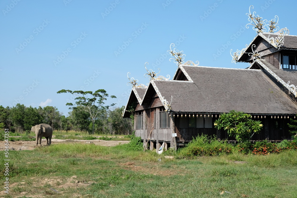 Elephant standing in front of a traditional house in Kalimantan ...