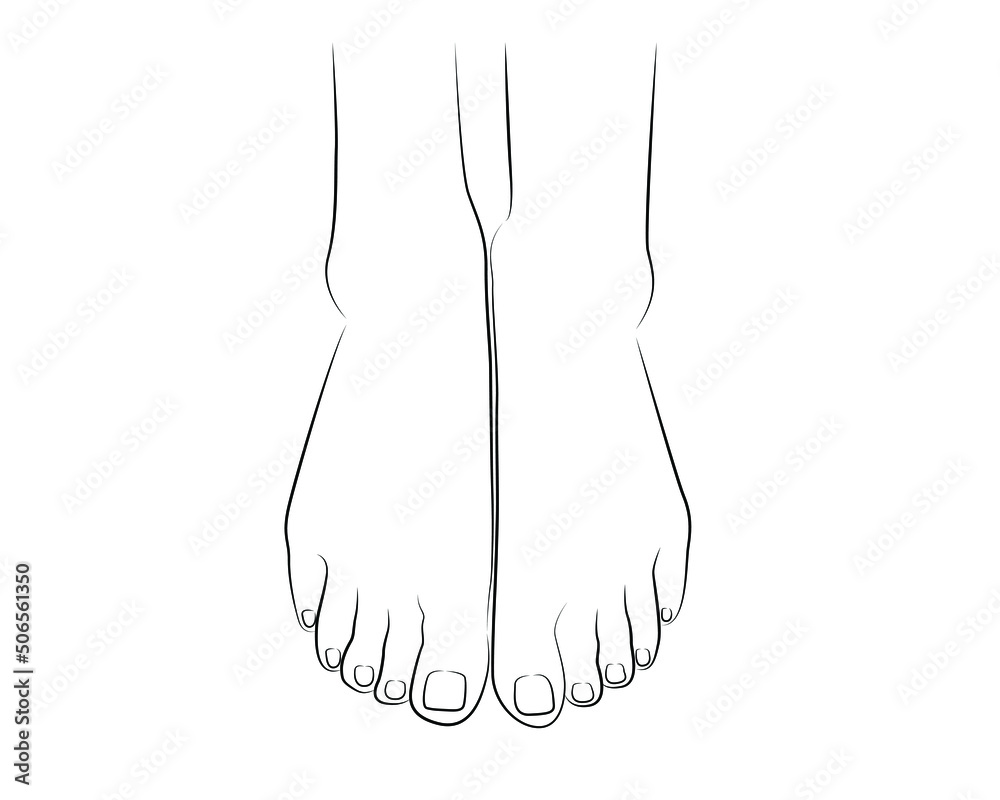 Beautiful woman feet line drawing isolated on white background - vector ...