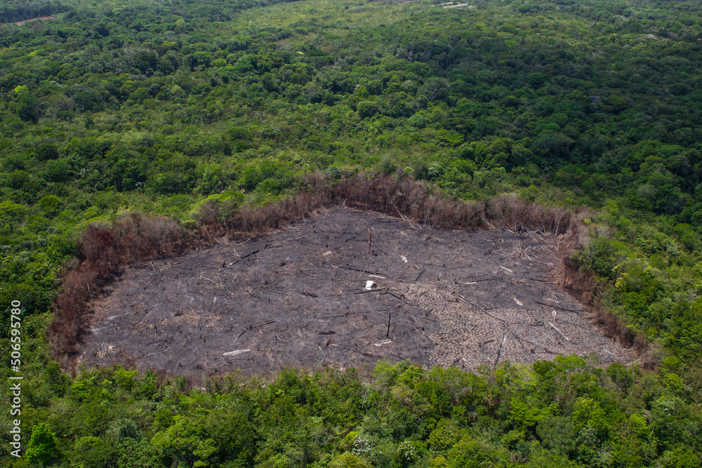Deforestation of the Amazon rainforest. Patch of forest burnt to the ...