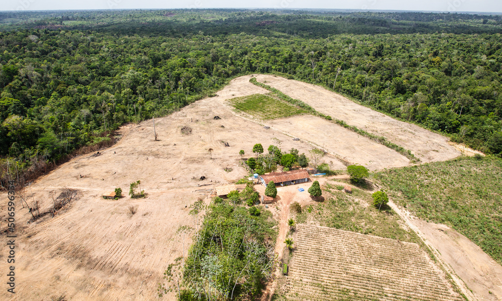 Deforestation of the Amazon rainforest. Patch of forest land cleared of ...