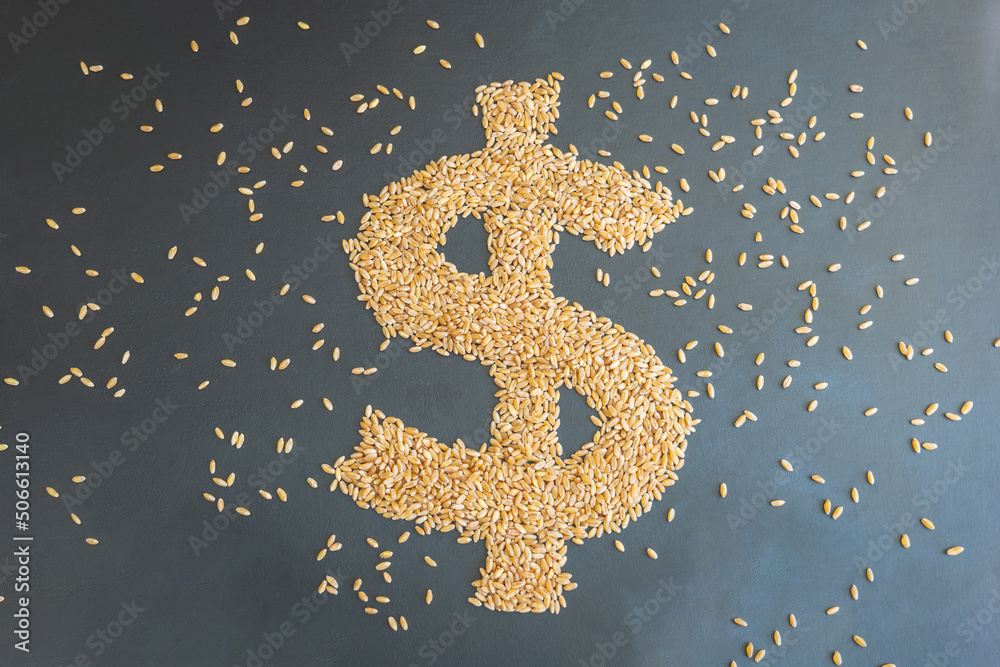 wheat grain us dollar sign shape concept overhead view Stock Photo ...