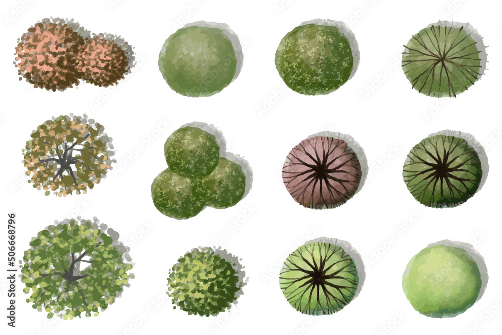 Vector watercolor of blooming flower tree top view isolated on white ...