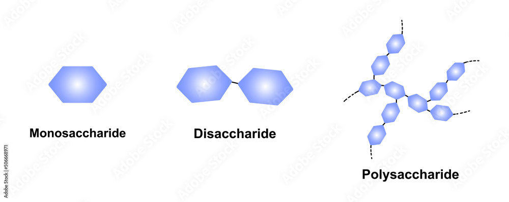 Vetor de Scientific Designing of Differences Between Monosaccharide ...