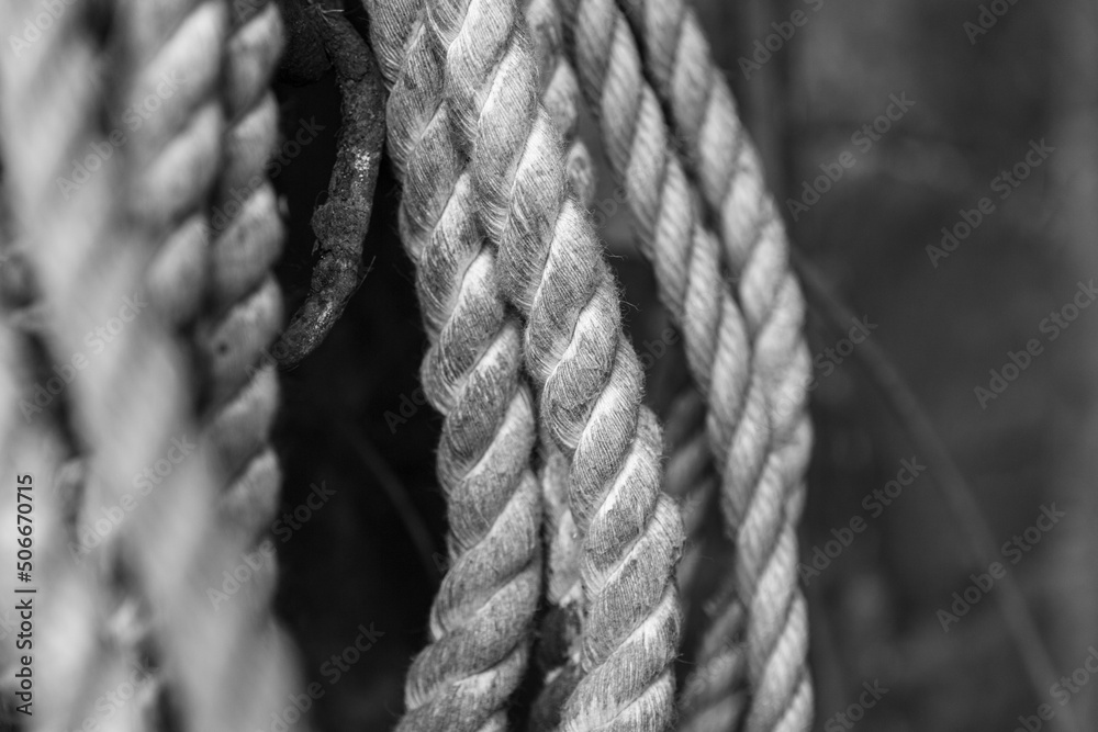 rope on a wooden board Stock Photo | Adobe Stock