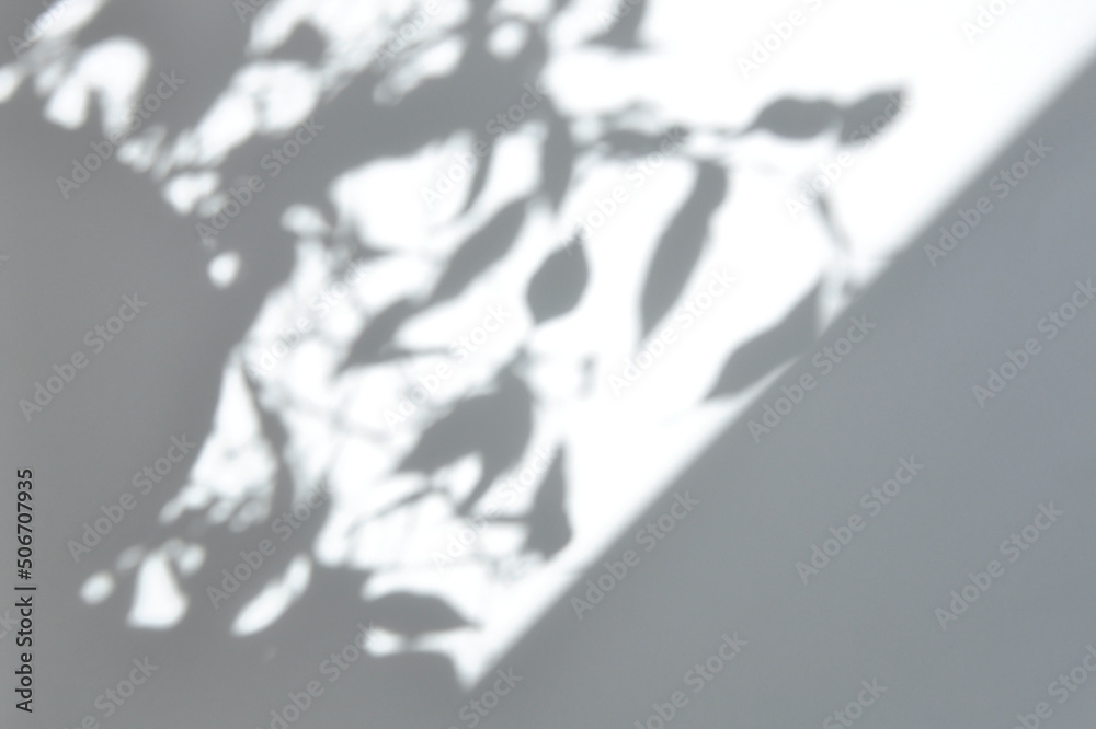 Shadow Play Photo Overlays Stock Illustration | Adobe Stock