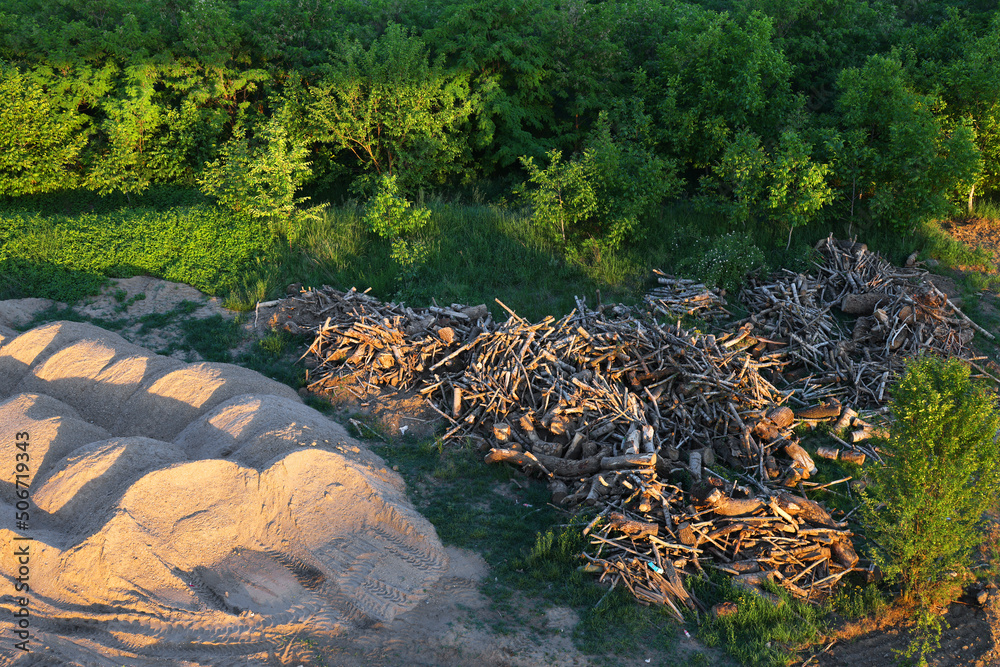 Deforestation of forest nature. Deforestation of forest trees. Natural ...