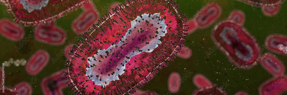 Monkeypox viruses, microscopic pathogen closeup, infectious zoonotic ...