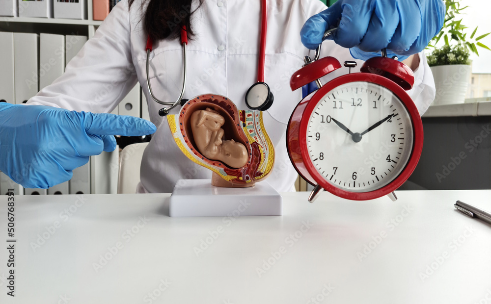 Fotka „Gynecologist fetus child clock alarm clock in clinic female age ...