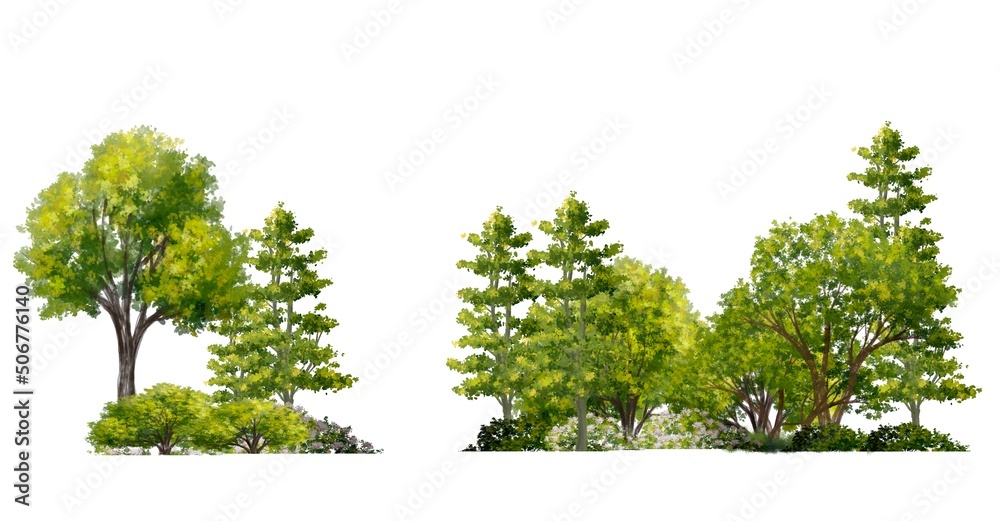 tree side view isolated on white background for landscape plan and ...