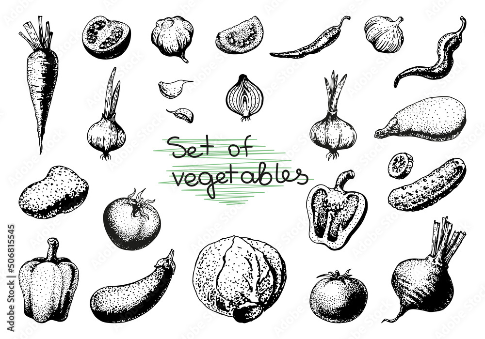 Vector hand drawn sketch vegetable set. Eco foods.Vector illustration ...