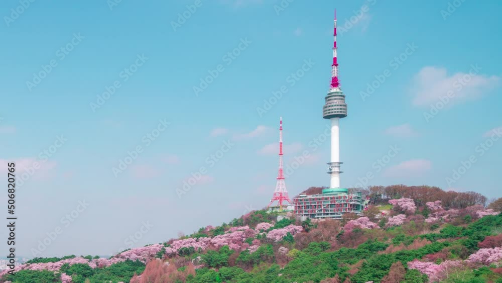 Cherry blossoms bloom in spring at Namsan Mountain Seoul Tower, a ...