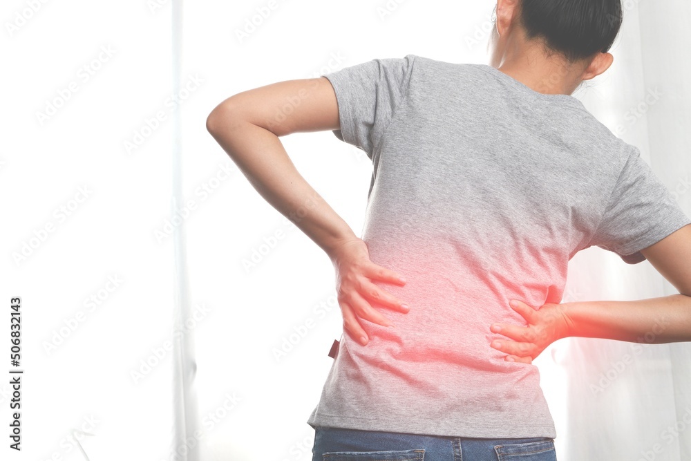 Back pain is caused by organs and body parts in the back such as the ...