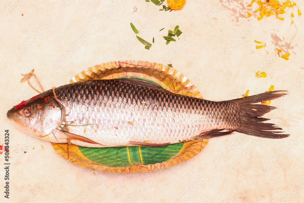 Catla (Katla) fish in a bowl at restaurant or home. Indian cuisine ...