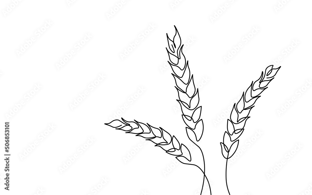 Single continuous wheat grain one line art. International food cereals ...