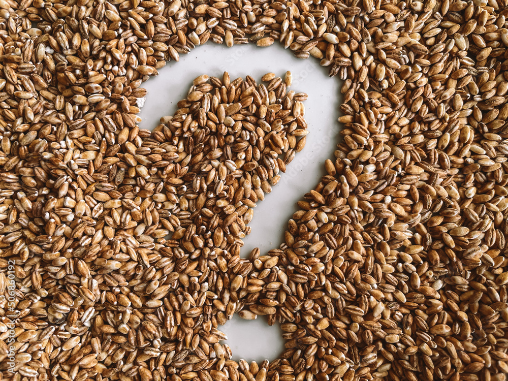 Wheat grain with Question Mark, top view. The concept of grain exports ...